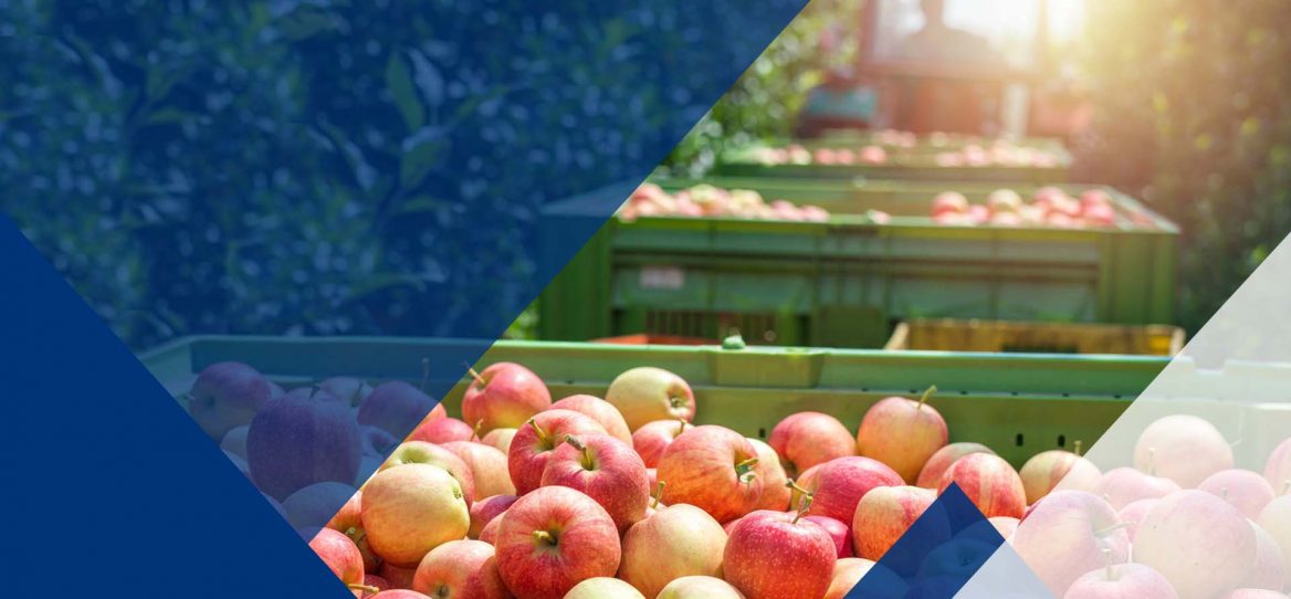 Home - Agrosava Zaštita bilja, preparati za zaštitu